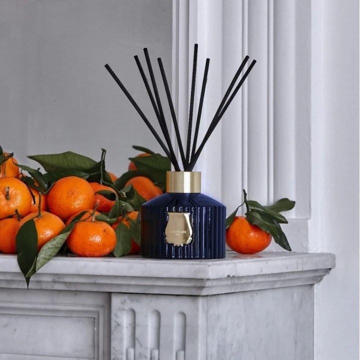 Reggio de Trudon - Diffuseur d'Ambiance - Incenza