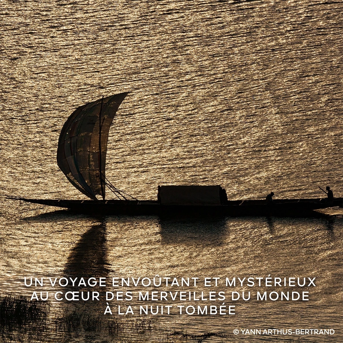 Rose Amira Eau de Parfum - Incenza